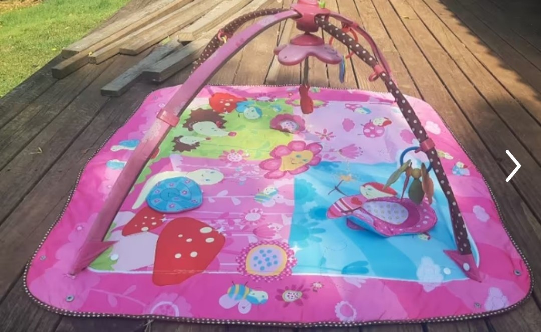 Tiny Love Play Mat with Toy Arch – Koala Babes