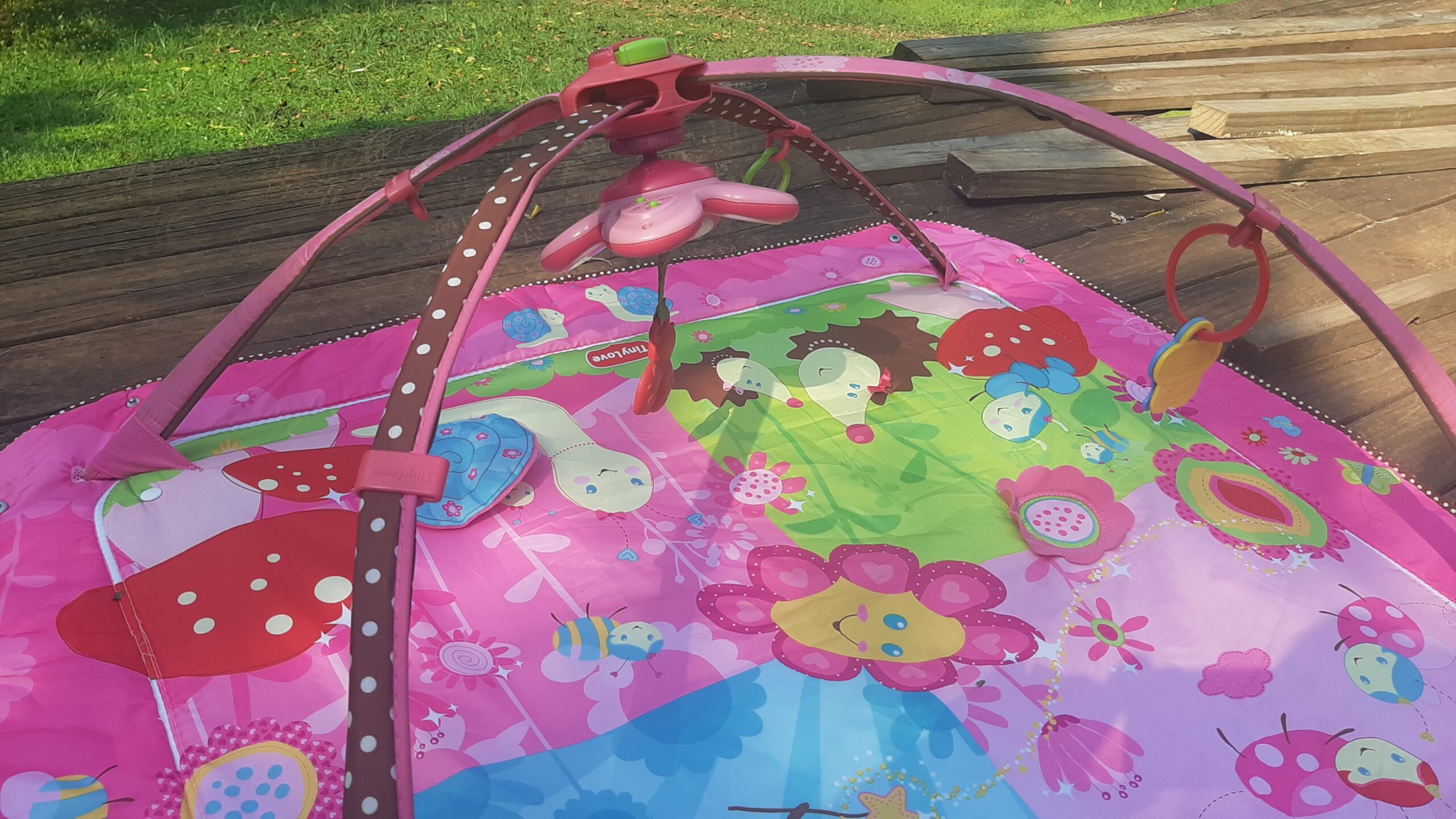 Tiny Love Play Mat with Toy Arch – Koala Babes