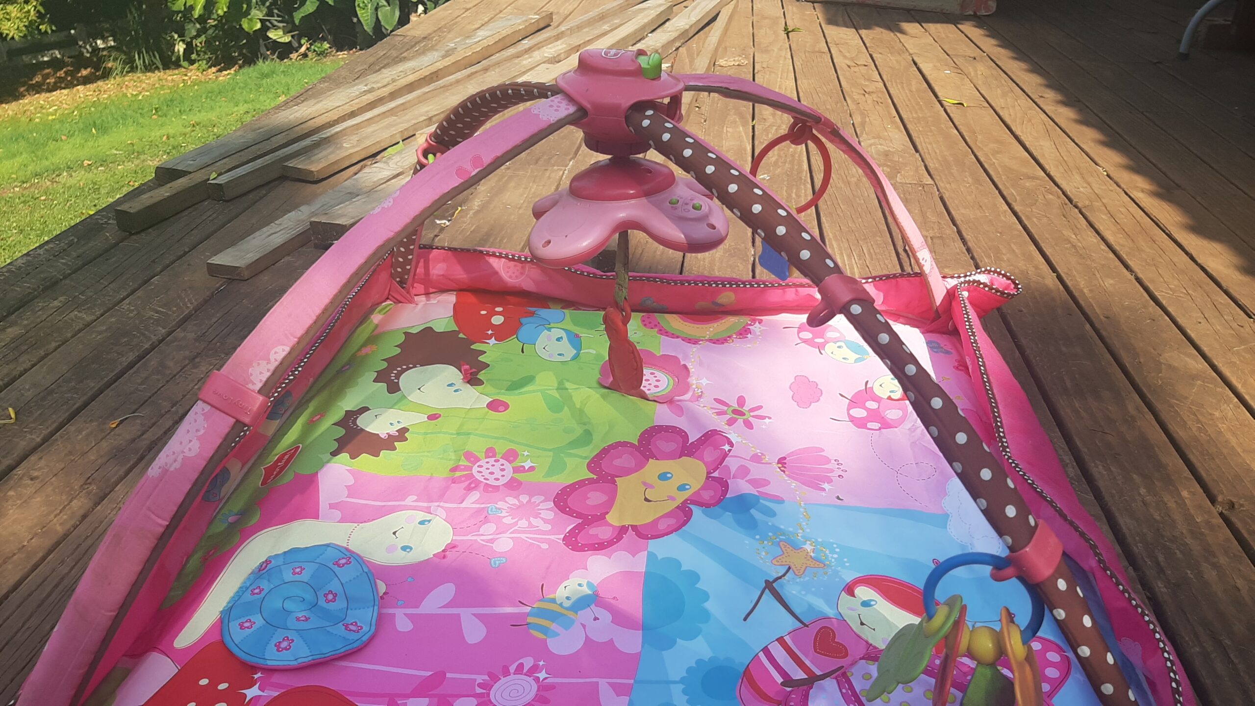 Tiny Love Play Mat with Toy Arch – Koala Babes